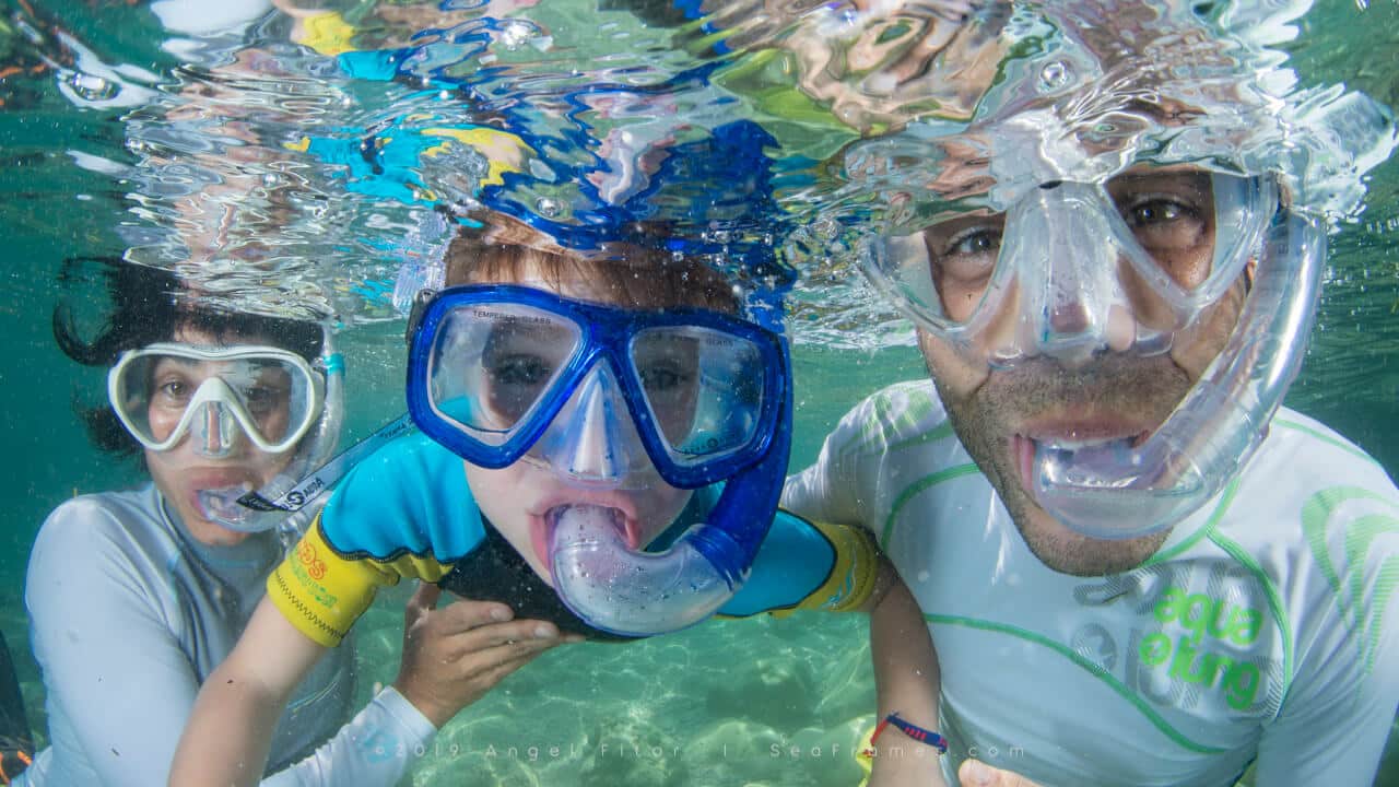 Qué Hacer En Benidorm Con Niños: Planes Y Actividades